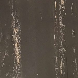 pro xl - Fitness Floors